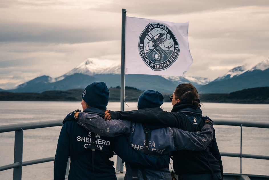 Sea Shepherd’s Antarctica Defence: Spotlight on the Industrial Krill F ...